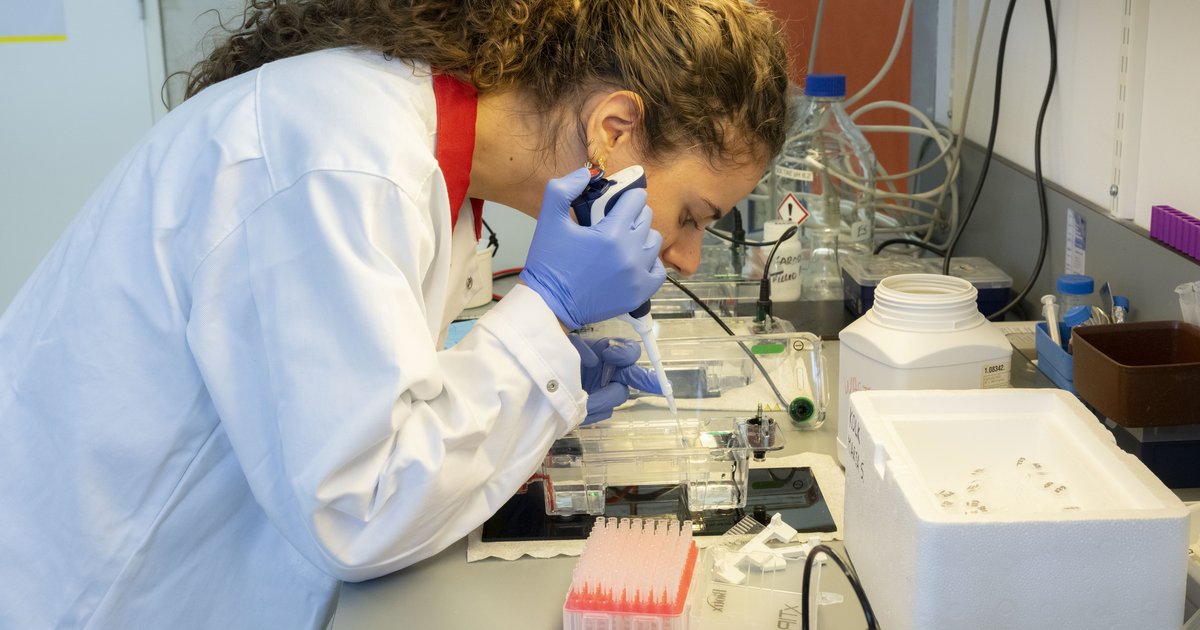 Leden stemmen voor cao Nederlandse Universiteiten | CNV