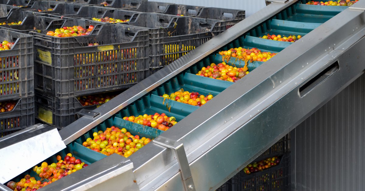 Nieuwe cao Groothandel Groenten en Fruit is een feit! | CNV